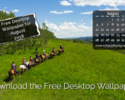 Calgary Portrait & Commercial Photographer | 403-615-3708 | Riverwood ...